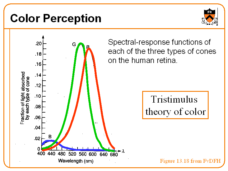 Color Perception